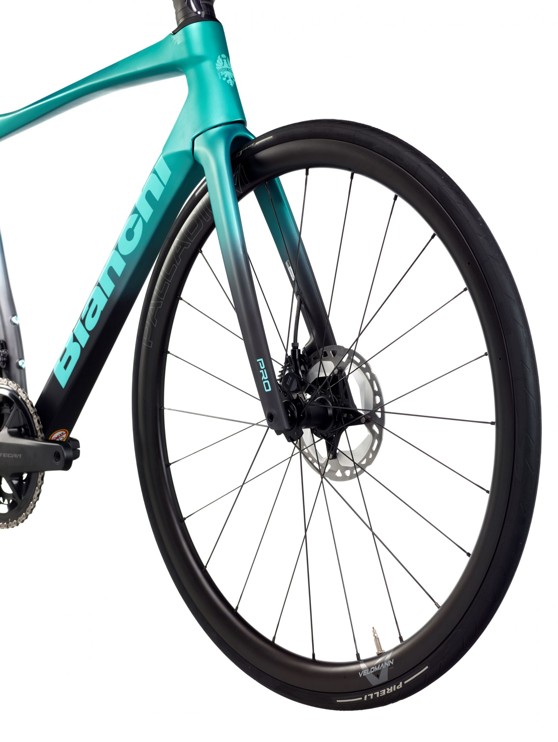 Bianchi SPECIALISSIMA PRO t55 - BIANCHI GIPUZKOA